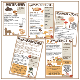 Dyk ned i svampenes verden med vores finurlige emnepakke • finurligefif.dk